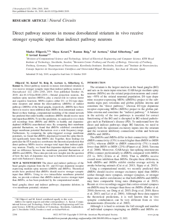 (PDF) Direct Pathway Neurons in Mouse Dorsolateral Striatum In Vivo ...
