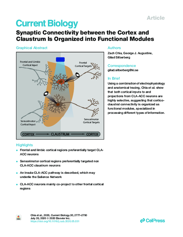 Synaptic Connectivity between the Cortex and Claustrum Is Organized ...
