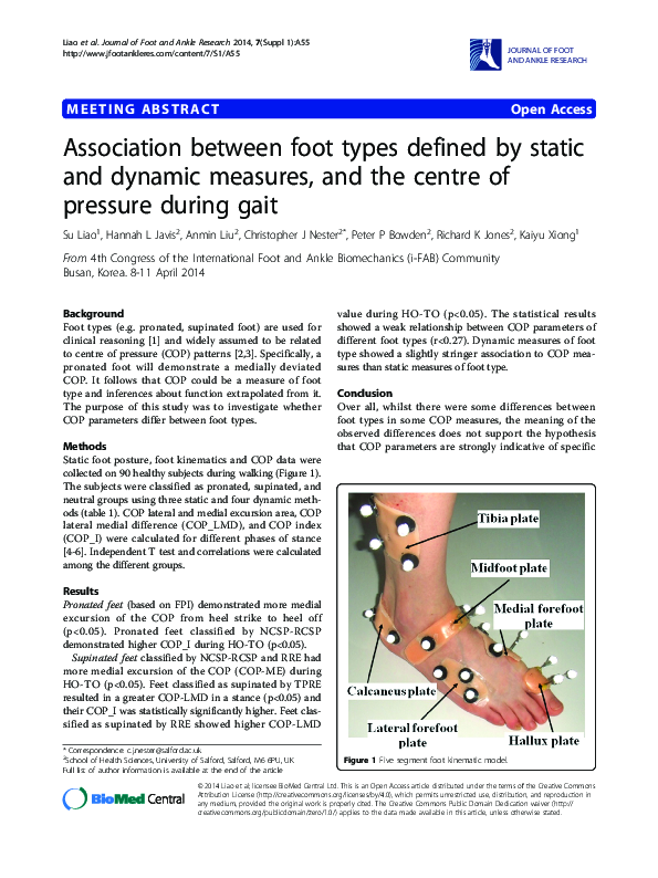 (PDF) Association between foot types defined by static and dynamic ...