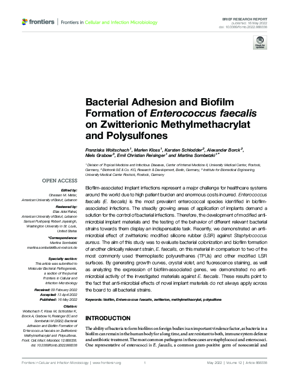 (PDF) Bacterial Adhesion and Biofilm Formation of Enterococcus faecalis ...