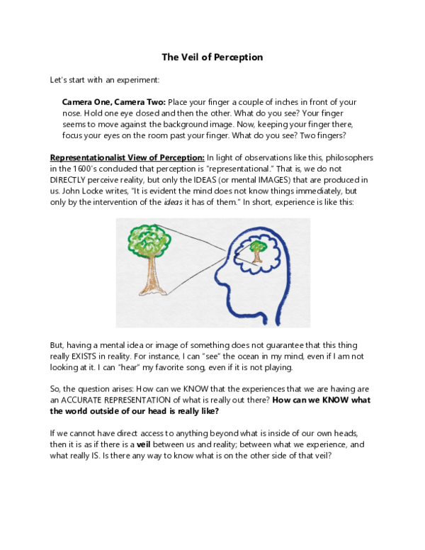 (PDF) The Veil of Perception