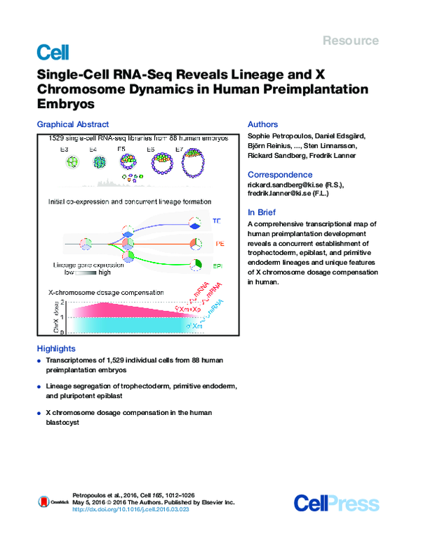 (PDF) Single-Cell RNA-Seq Reveals Lineage and X Chromosome Dynamics in Human Preimplantation Embryos