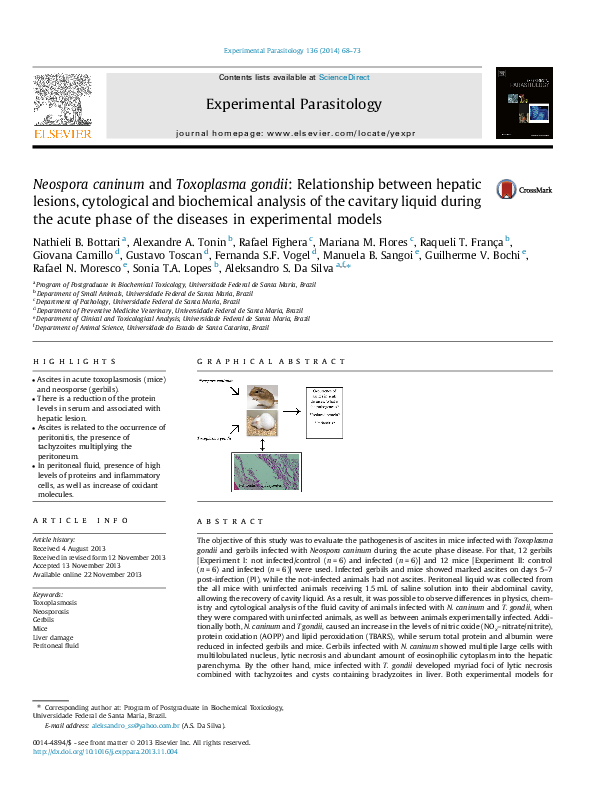 (PDF) Neospora caninum and Toxoplasma gondii: Relationship between ...