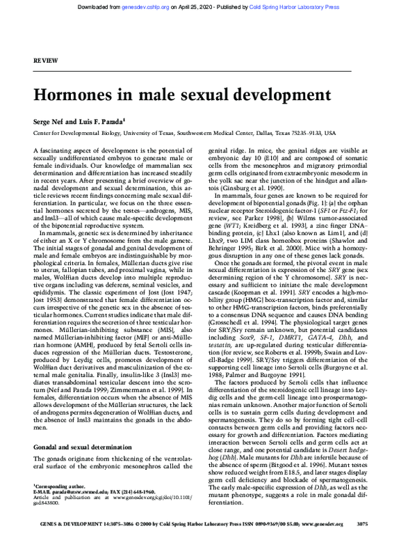 Pdf Hormones In Male Sexual Development