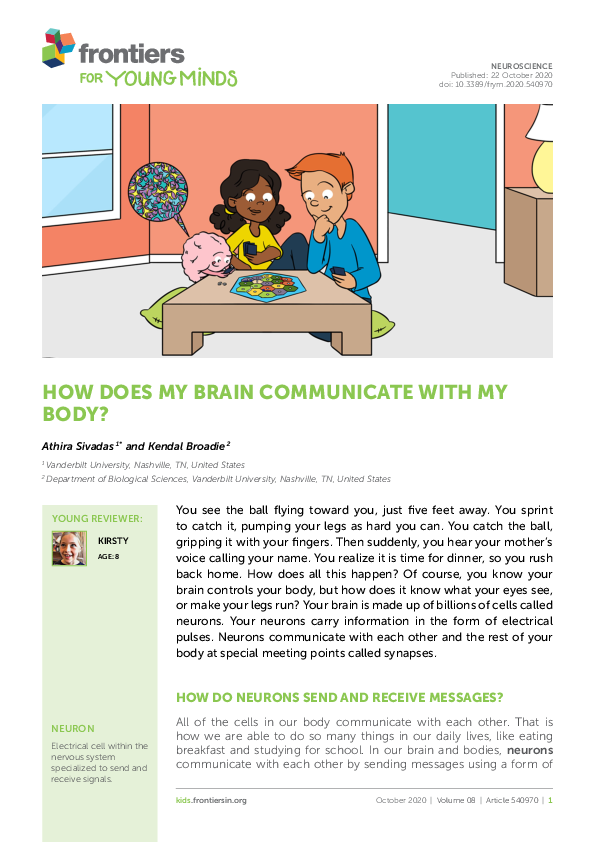 (PDF) How Does My Brain Communicate With My Body?