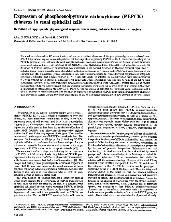 (PDF) Expression of the phosphoenolpyruvate carboxykinase gene and its ...