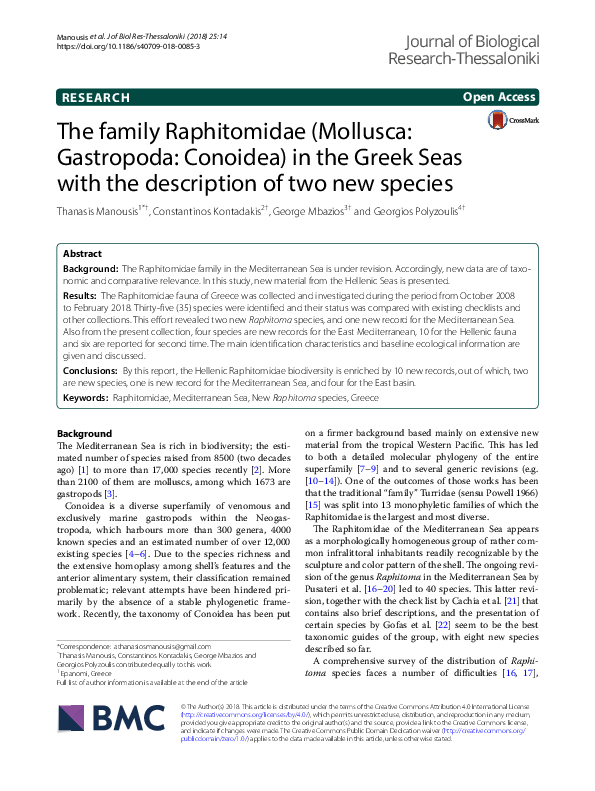 (PDF) The family Raphitomidae (Mollusca: Gastropoda: Conoidea) in the ...