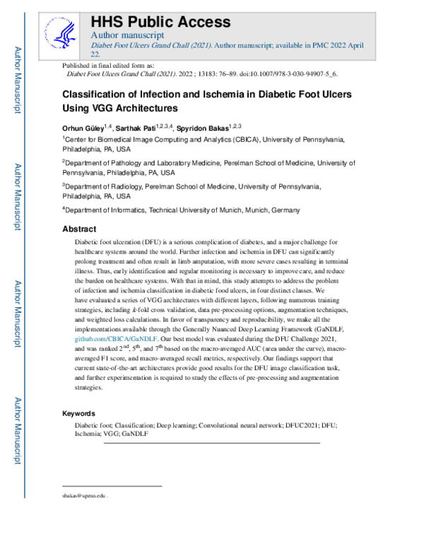 (PDF) Classification of Infection and Ischemia in Diabetic Foot Ulcers Using VGG Architectures ...