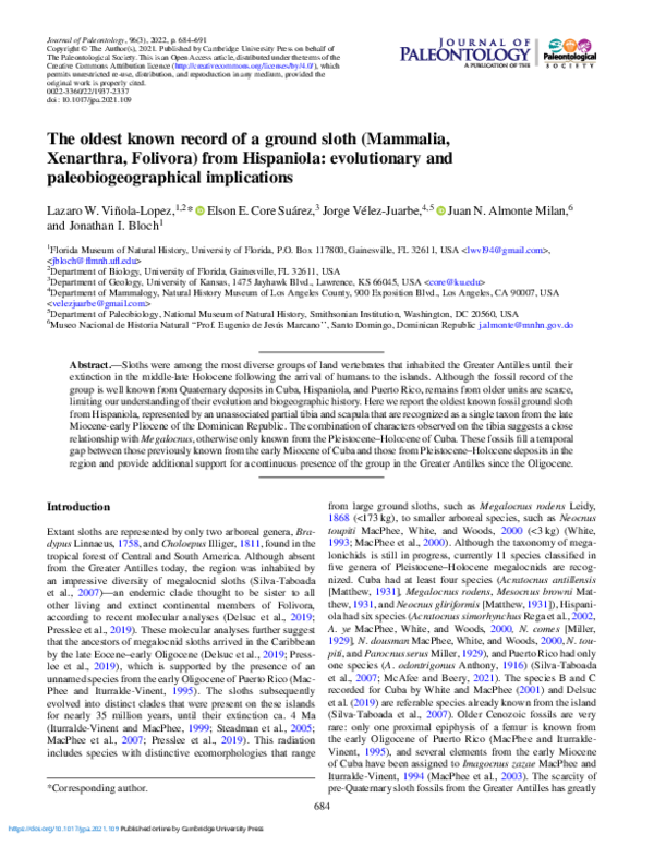(PDF) The oldest known record of a ground sloth (Mammalia, Xenarthra ...