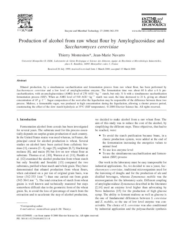 (PDF) Production of alcohol from raw wheat flour by Amyloglucosidase ...