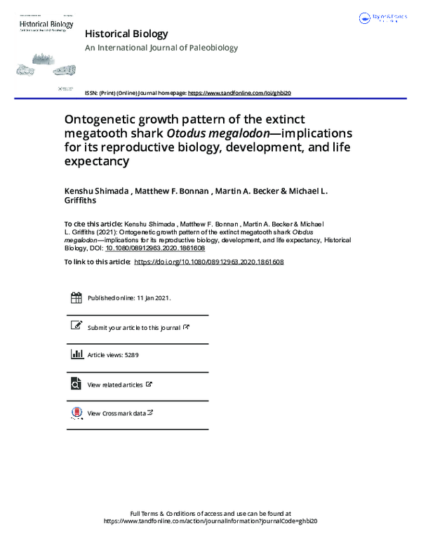 (PDF) Ontogenetic growth pattern of the extinct megatooth shark Otodus ...
