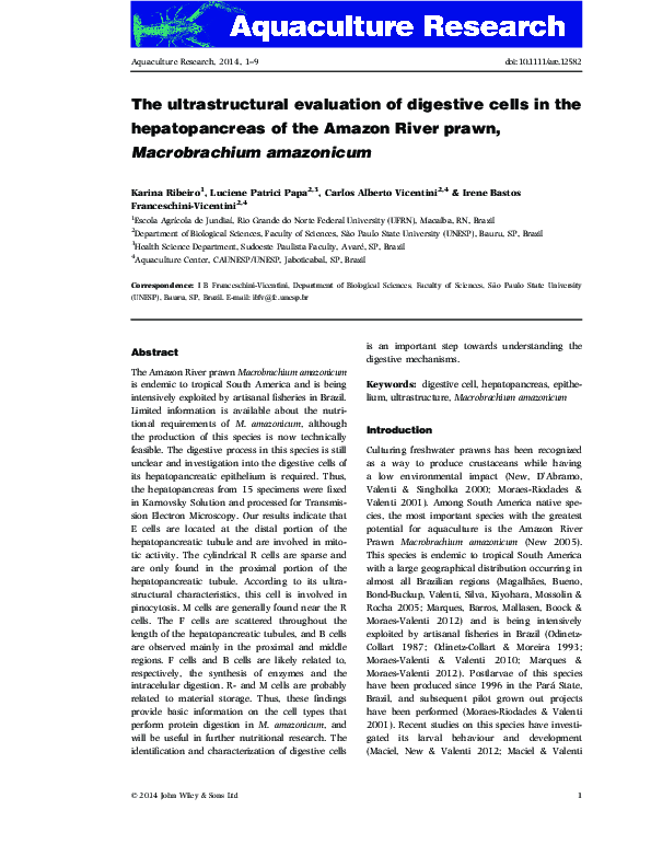 (PDF) The ultrastructural evaluation of digestive cells in the ...