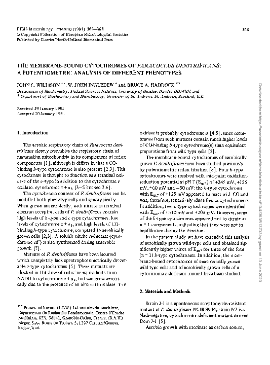 (PDF) The membrane-bound cytochromes of Paracoccus denitrificans : A ...