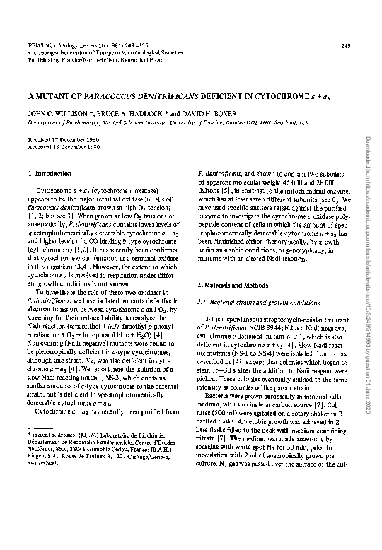(PDF) A mutant of Paracoccus denitrificans deficient in cytochrome a + a 3