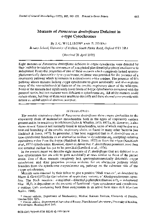 (PDF) Mutants of Paracoccus denitrificans Deficient in c-type Cytochromes