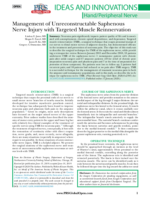 (PDF) Management of Unreconstructable Saphenous Nerve Injury with ...
