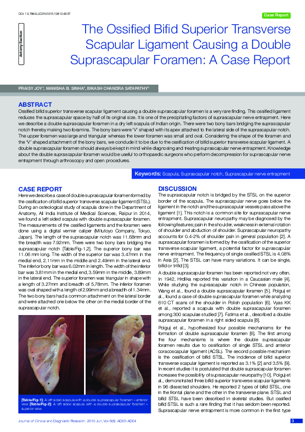 (PDF) The Ossified Bifid Superior Transverse Scapular Ligament Causing ...