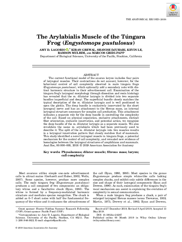 (PDF) The arylabialis muscle of the túngara frog ( Engystomops pustulosus )