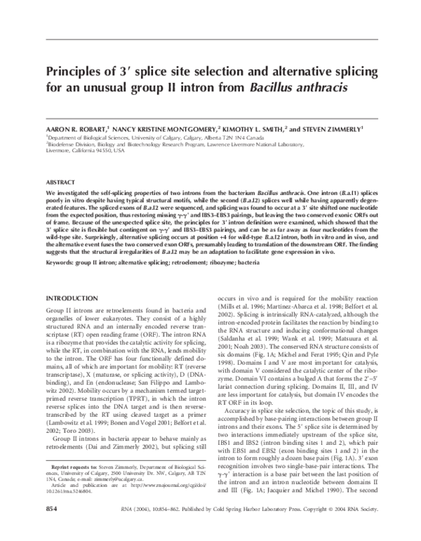 (PDF) Principles of 3′ splice site selection and alternative splicing ...