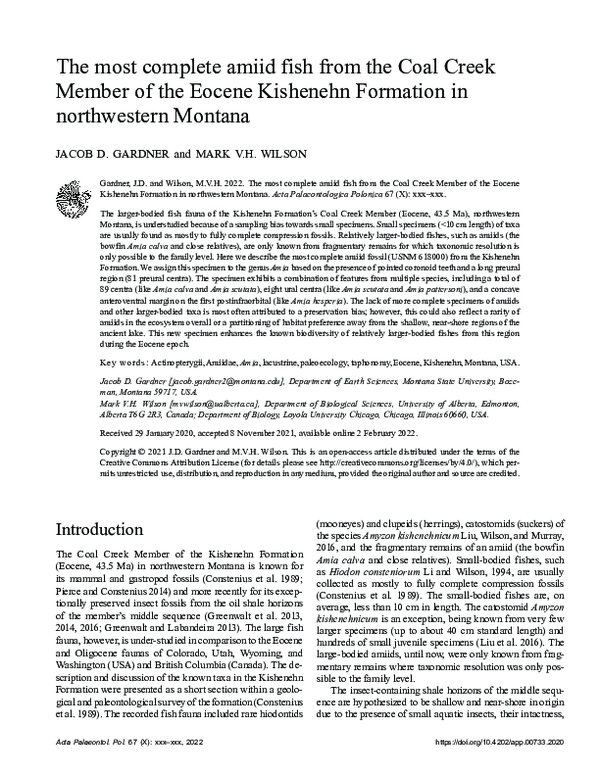 (PDF) The Most Complete Bowfin (Amiidae: Amia sp.) from the Coal Creek Member of the Kishenehn ...