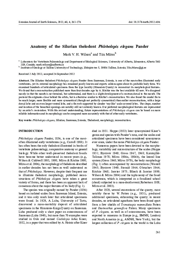 (PDF) Anatomy of the Silurian thelodont Phlebolepis elegans Pander
