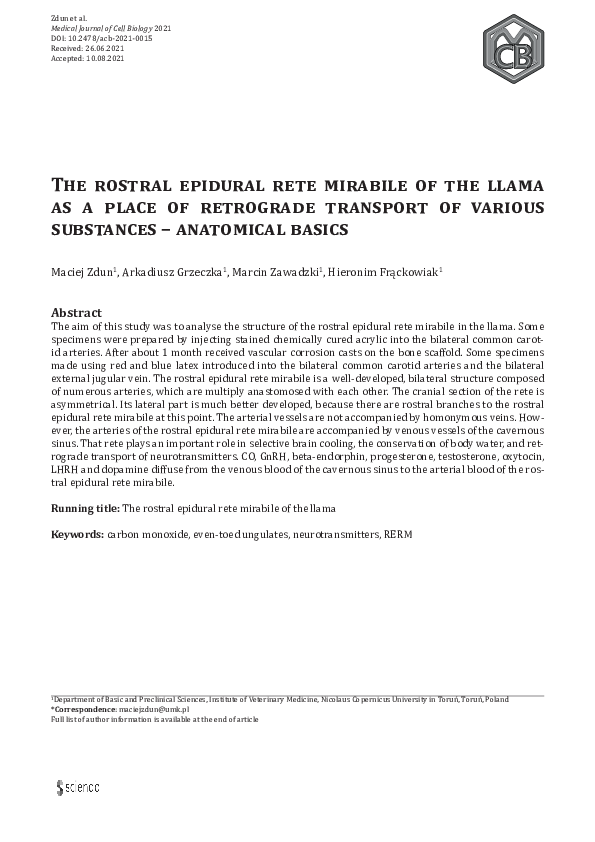 (PDF) The rostral epidural rete mirabile of the llama as a place of ...