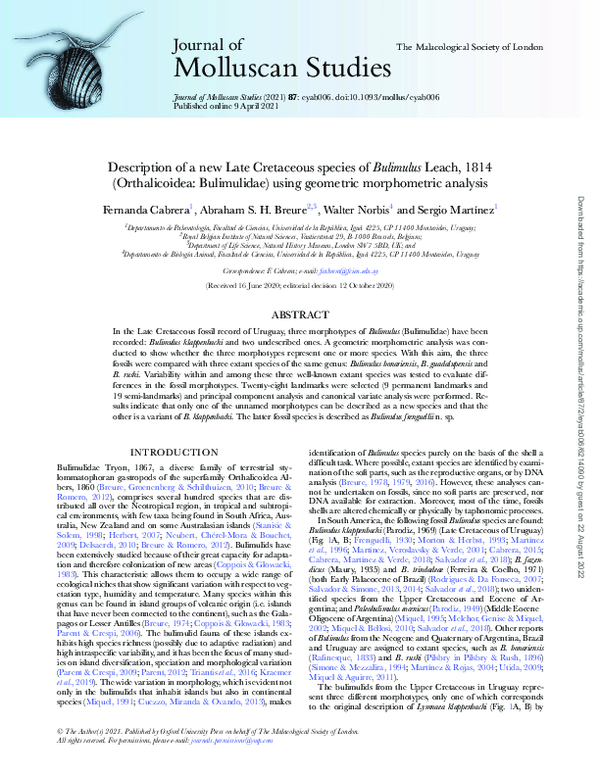 (PDF) Description of a new Late Cretaceous species of Bulimulus Leach ...