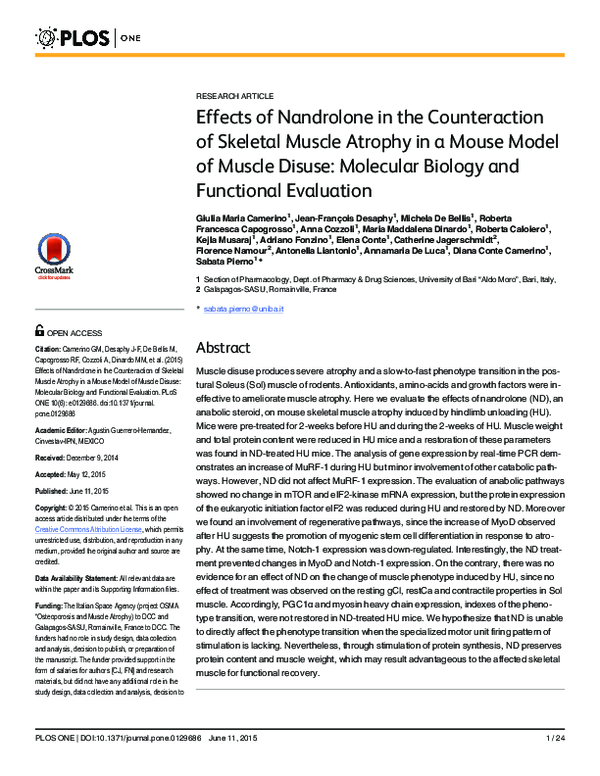 (PDF) Effects of Nandrolone in the Counteraction of Skeletal Muscle ...