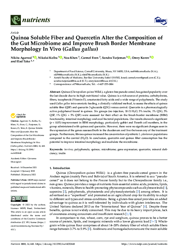 Pdf Quinoa And Quercetin Effects On Gut Health