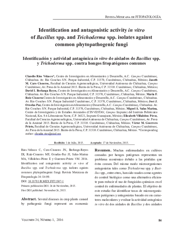 Pdf Identification And Antagonistic Activity In Vitro Of Bacillus Spp And Trichoderma Spp