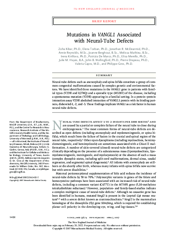 (PDF) Mutations inVANGL1Associated with Neural-Tube Defects
