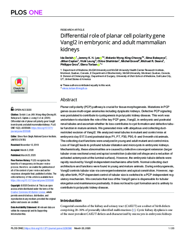 (PDF) Differential role of planar cell polarity gene Vangl2 in ...