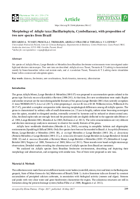 (PDF) Morphology of Adlafia taxa (Bacillariophyta, Cymbellaceae), with ...