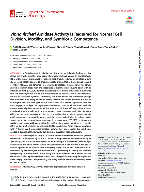 (PDF) Vibrio fischeri Amidase Activity Is Required for Normal Cell ...