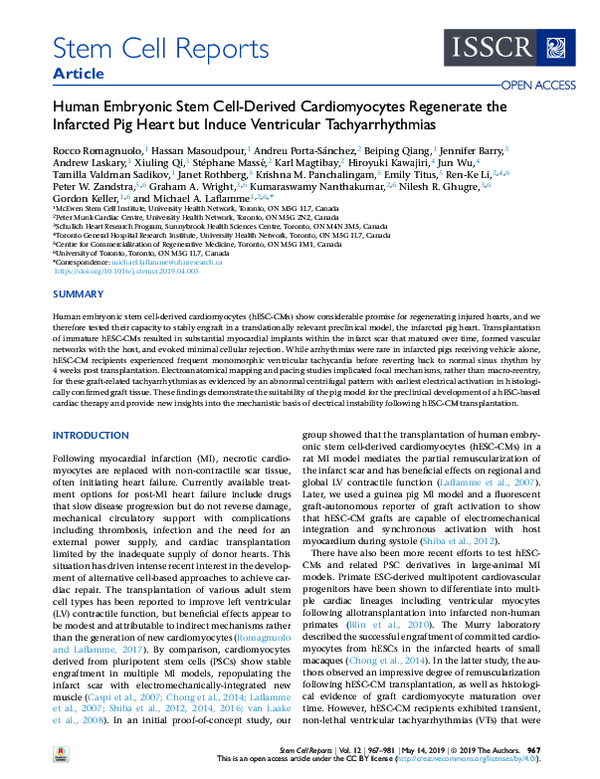 (PDF) Human Embryonic Stem Cell-Derived Cardiomyocytes Regenerate the ...