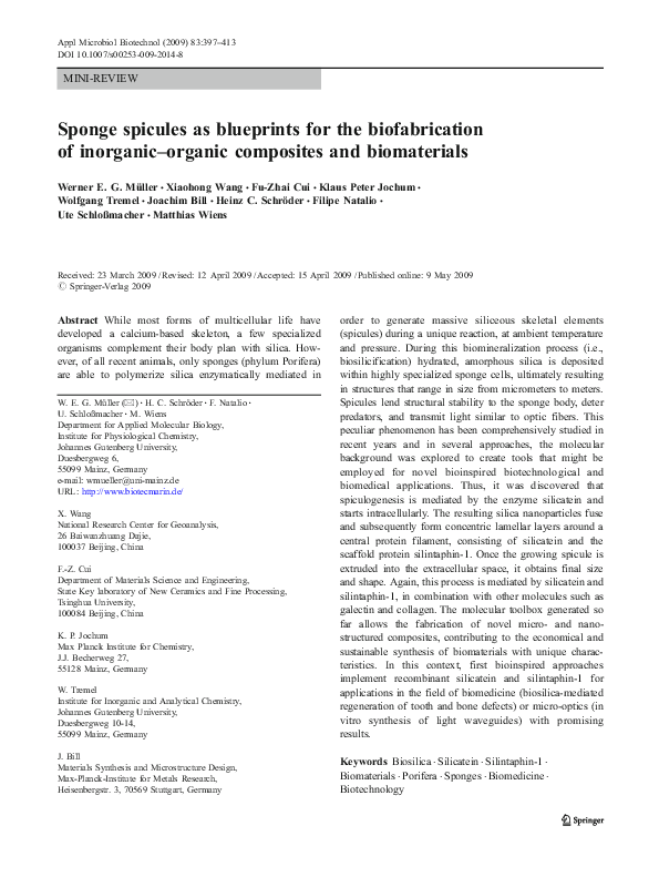 (PDF) Sponge spicules as blueprints for the biofabrication of inorganic ...
