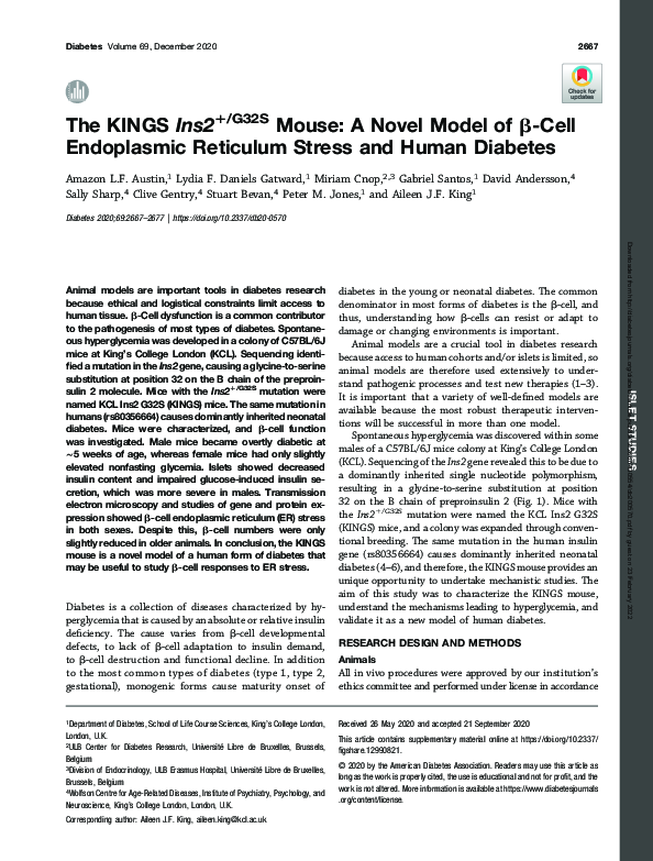 (PDF) The KINGS Ins2+/G32S Mouse: A Novel Model of Beta Cell ...