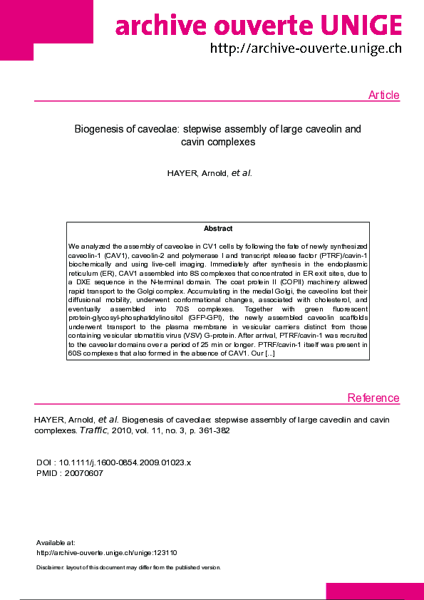 (PDF) Biogenesis of Caveolae: Stepwise Assembly of Large Caveolin and ...