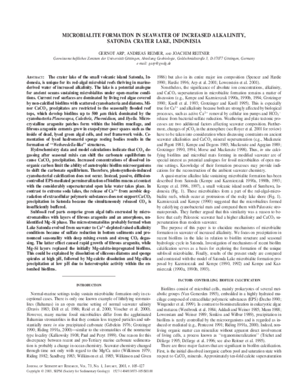 (PDF) Microbialite Formation in Seawater of Increased Alkalinity ...