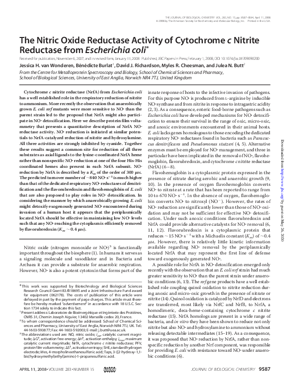 (PDF) The Nitric Oxide Reductase Activity of Cytochrome c Nitrite ...
