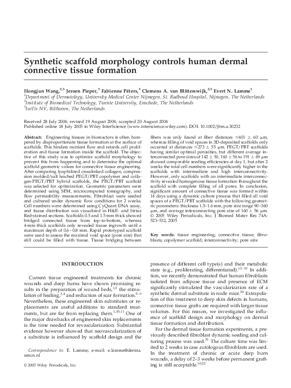 (PDF) Synthetic scaffold morphology controls human dermal connective ...