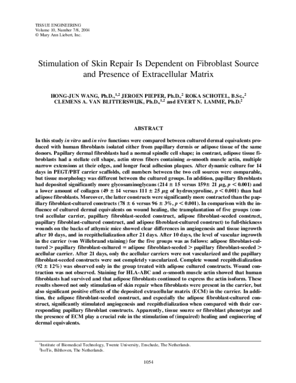 (PDF) Stimulation of Skin Repair Is Dependent on Fibroblast Source and ...