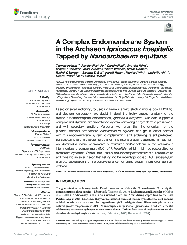 (PDF) A Complex Endomembrane System in the Archaeon Ignicoccus ...