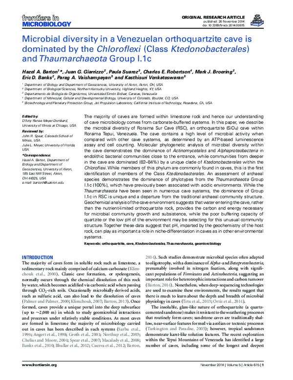 (PDF) Microbial diversity in a Venezuelan orthoquartzite cave is ...