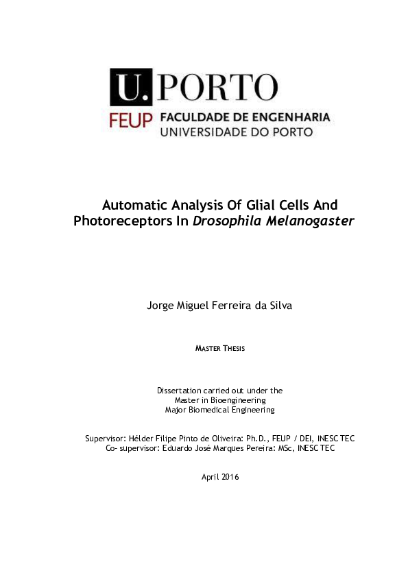 (PDF) Automatic Analysis of Glial Cells and Photoreception in Drosophila Melanogaster
