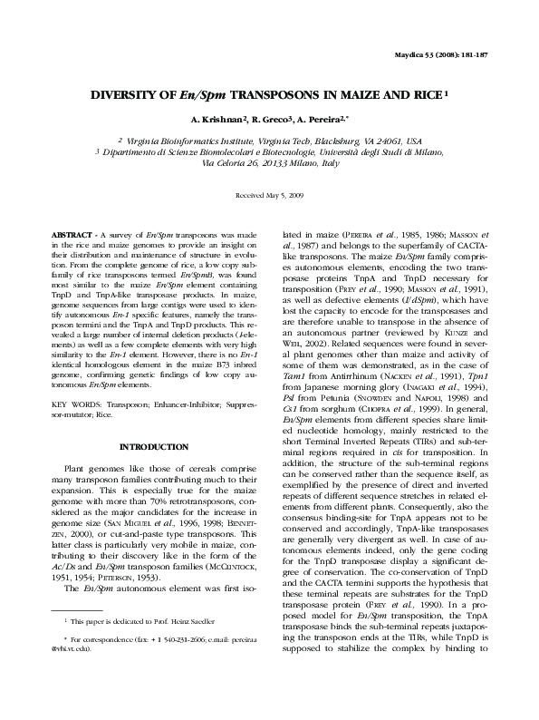 (PDF) DIVERSITY OF En/Spm TRANSPOSONS IN MAIZE AND RICE1