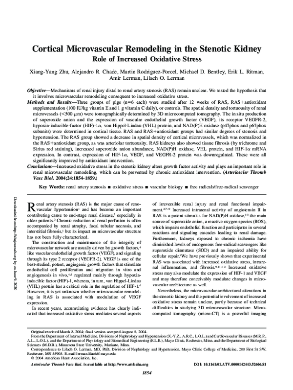 (PDF) Cortical Microvascular Remodeling in the Stenotic Kidney
