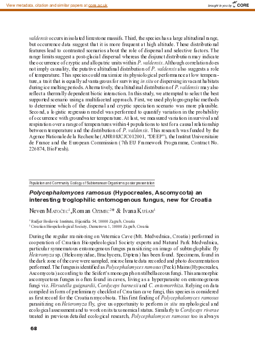 (PDF) Polycephalomyces ramosus (Hypocreales, Ascomycota) an interesting ...