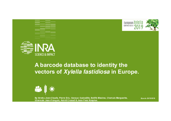 (PDF) A barcode database to identify the vectors of Xylella fastidiosa ...