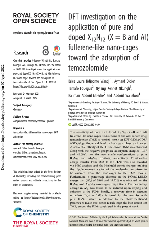 (PDF) DFT investigation on the application of pure and doped X 12 N 12 ...